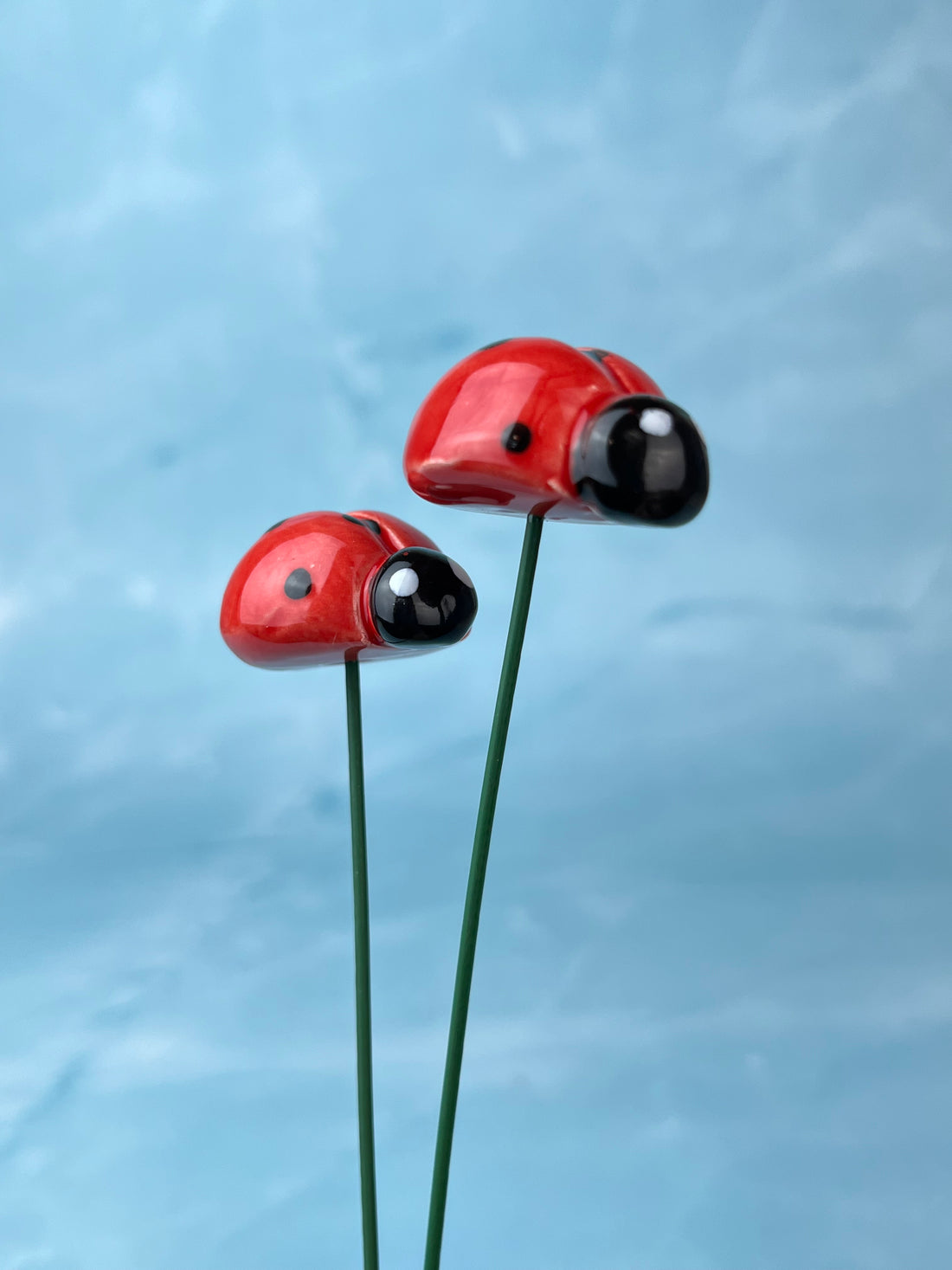 Ceramic Ladybug – Polish Pottery Westlake