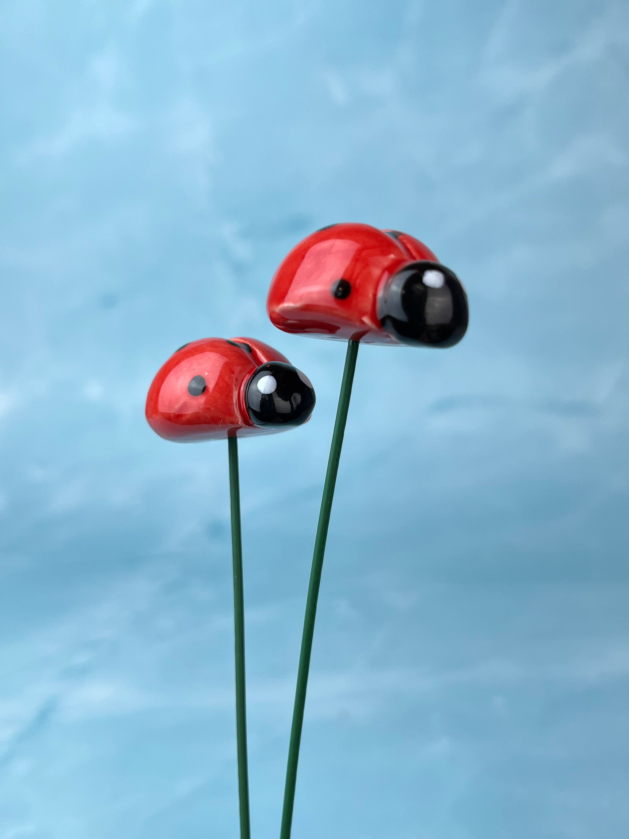 Ceramic Ladybug – Polish Pottery Westlake